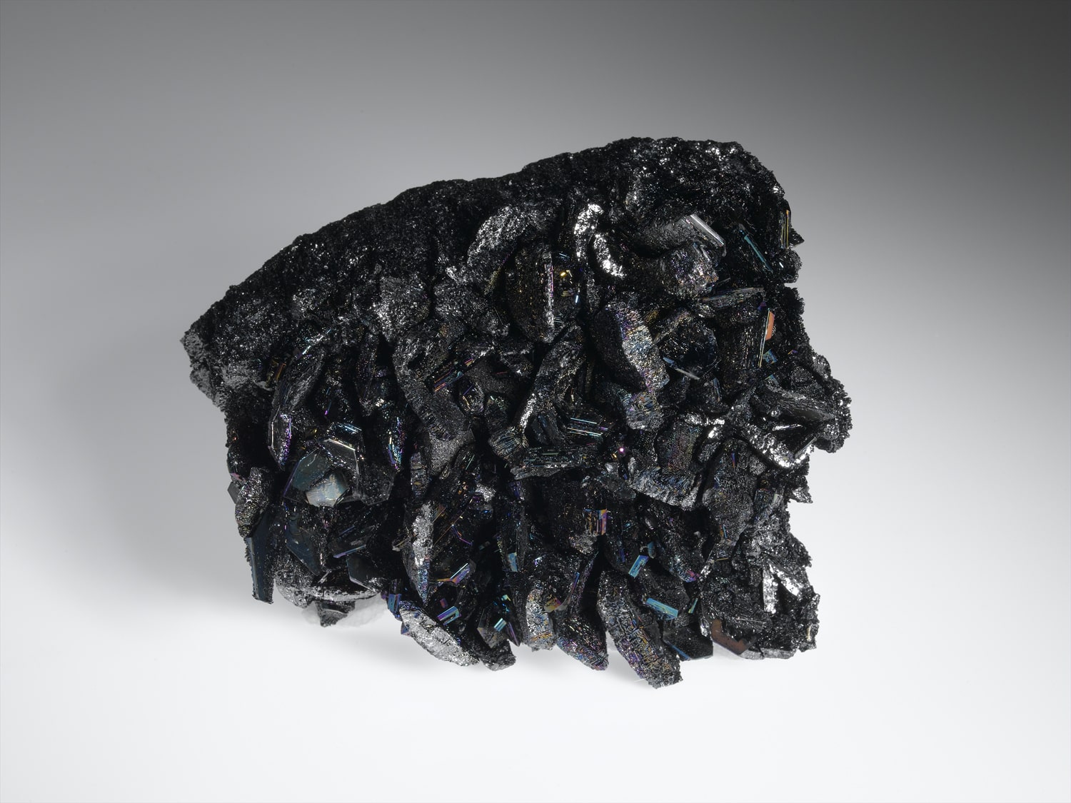 Typhoon Burr Carbide Burr Ball Shape (SD-42) - Single Cut, 1/8" Shank ...